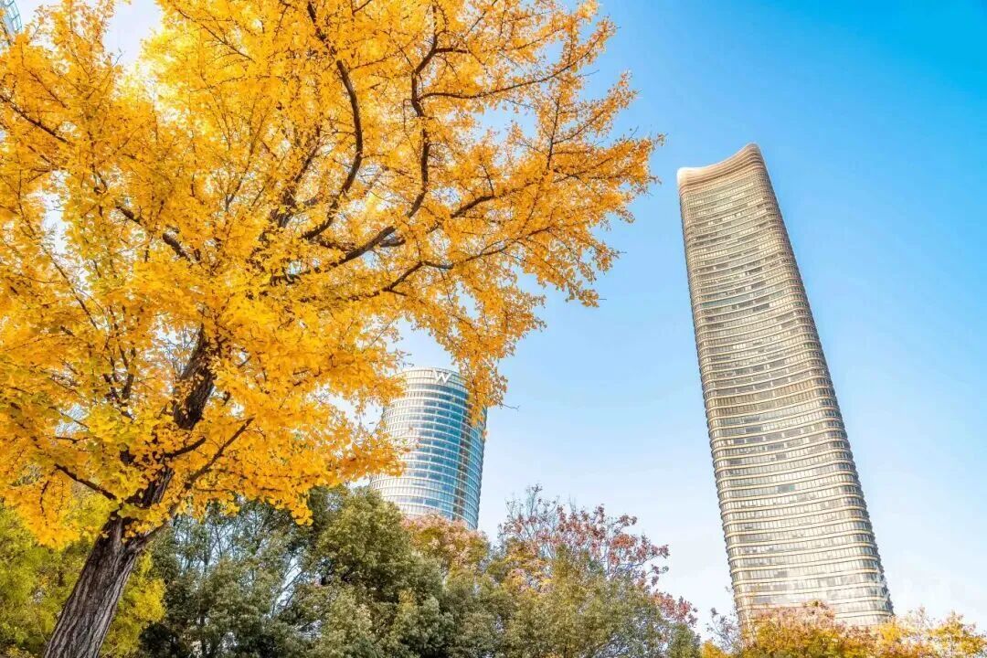 北外滩新增网红打卡点！你去了吗？还能解锁更多玩法→——上海热线旅游频道