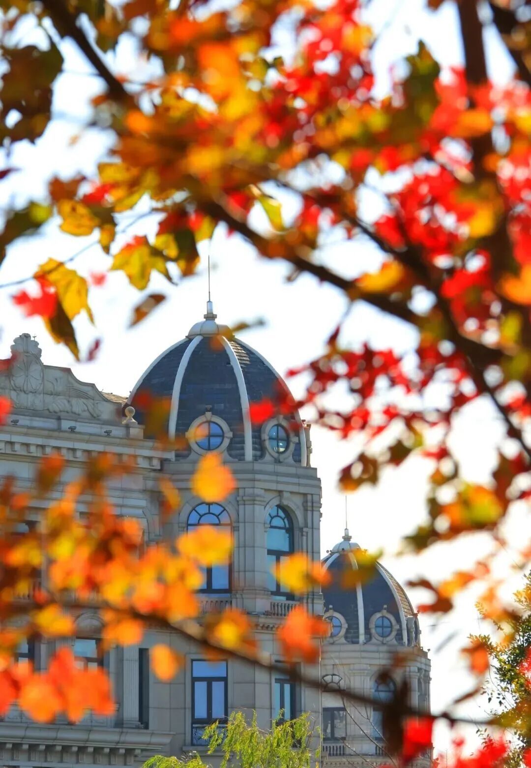 在苏州河畔追风，去梧桐树下漫游！普陀这两条骑行路线，你要PICK哪一条？——上海热线旅游频道